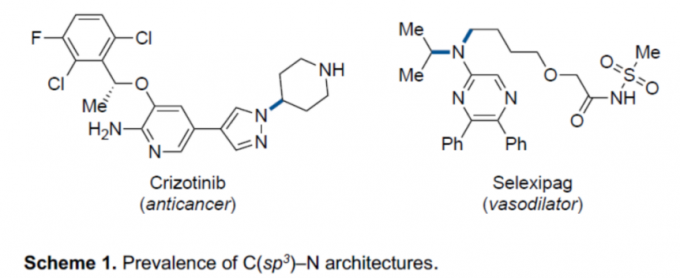 Angew：铜催化的C(sp3)-胺化反应方法学研究 | 化学空间 Chem-Station