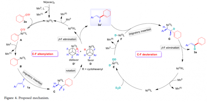 ACS Catal.：立体选择性串联C−F官能团化反应方法学研究 | 化学空间 Chem-Station