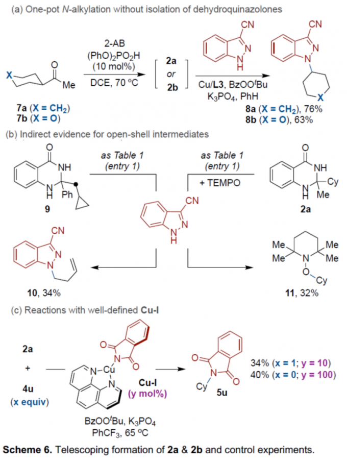 Angew：铜催化的C(sp3)-胺化反应方法学研究 | 化学空间 Chem-Station