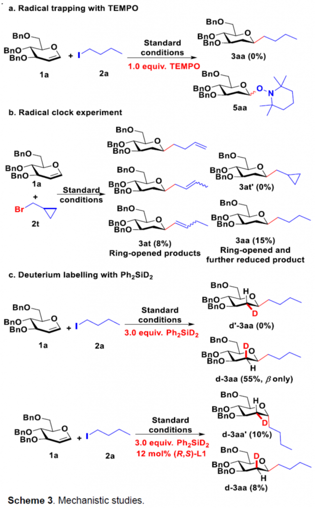 Angew：2-脱氧-C-糖苷的立体选择性合成反应方法学研究 | 化学空间 Chem-Station