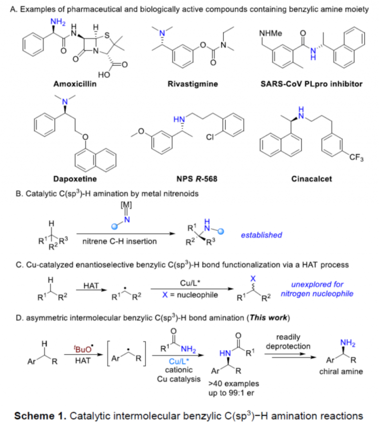 Angew：分子间对映选择性苄基C(sp3)-H胺化反应方法学研究 | 化学空间 Chem-Station