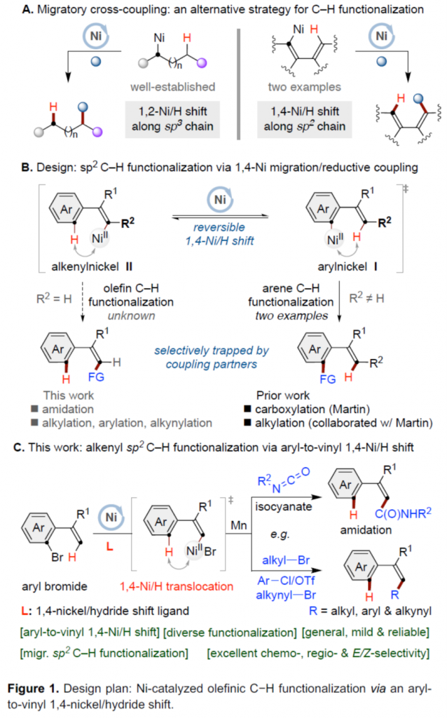 Angew：烯基C-H官能团化反应方法学研究 | 化学空间 Chem-Station