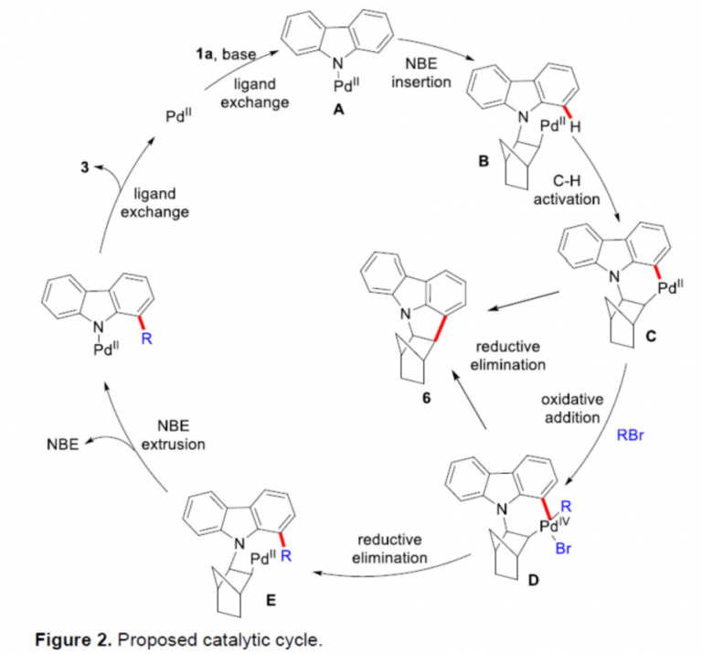 Angew：咔唑衍生物的位点选择性C-H官能团化反应方法学研究 | 化学空间 Chem-Station