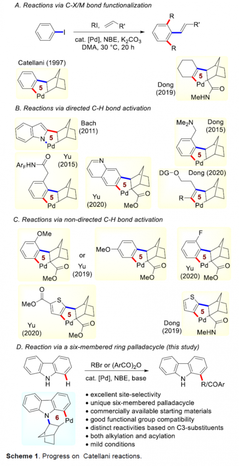 Angew：咔唑衍生物的位点选择性C-H官能团化反应方法学研究 | 化学空间 Chem-Station