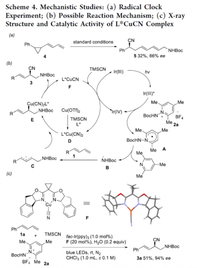 ACS Catal.：对映选择性1,2-Amidocyanation反应方法学研究 | 化学空间 Chem-Station