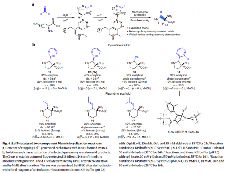 磷酸吡哆醛 (Pyridoxal 5′-phosphate, PLP)依赖型曼尼希类反应酶 | 化学空间 Chem-Station