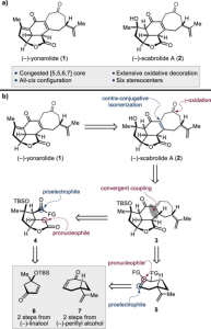 天然产物Scabrolide A和Yonarolide的全合成 | 化学空间 Chem-Station