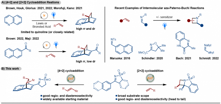 「Spotlight Research」光介导磺酰亚胺的[4+2]-和[2+2]-环加成反应 | 化学空间 Chem-Station