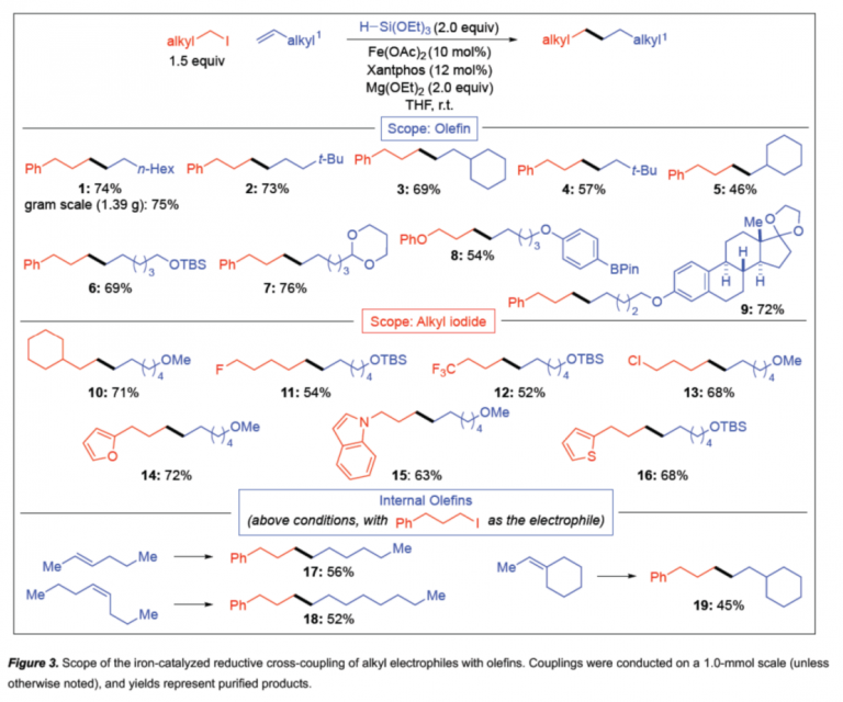 Angew：铁催化剂参与的还原交叉偶联反应方法学研究 | 化学空间 Chem-Station