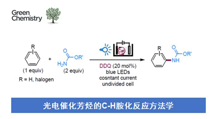 Green Chem.：光电催化芳烃的C-H胺化反应方法学 | 化学空间 Chem-Station