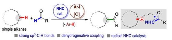 Angew：有机催化简单烷烃的C-H官能团化反应方法学 | 化学空间 Chem-Station