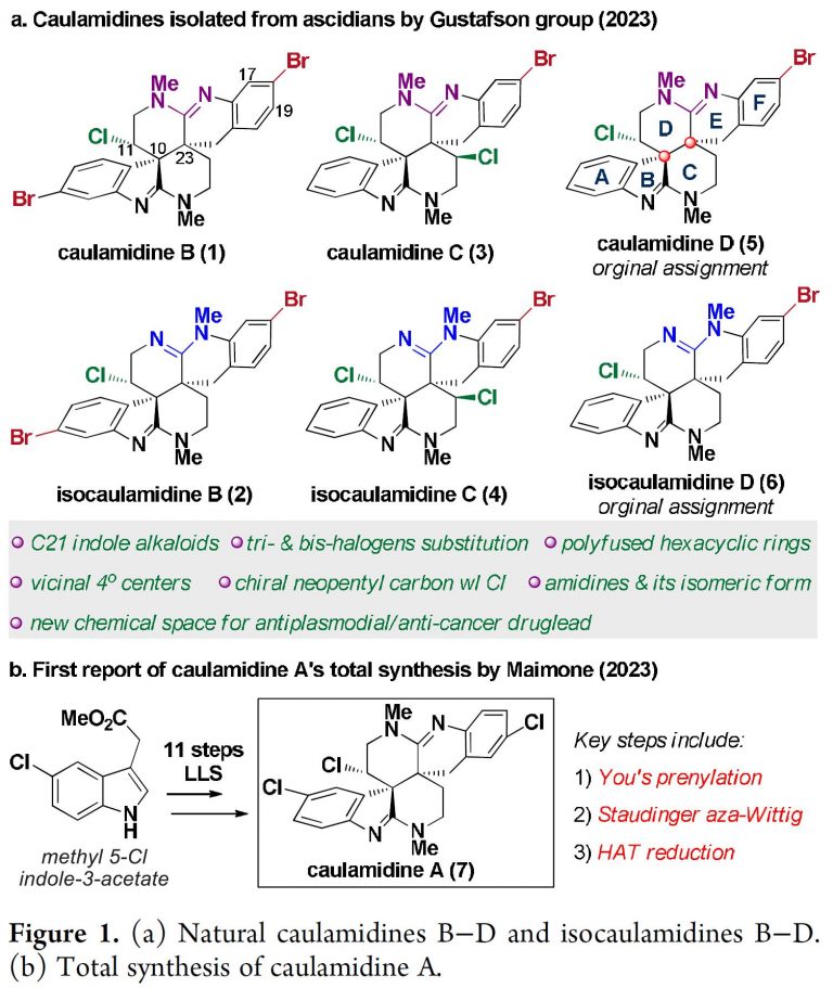 天然产物Caulamidine D和 (−)-Isocaulamidine D的全合成 | 化学空间 Chem-Station