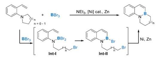 Angew：N-杂环-编辑合成稠合-BN-杂环分子反应方法学 | 化学空间 Chem-Station