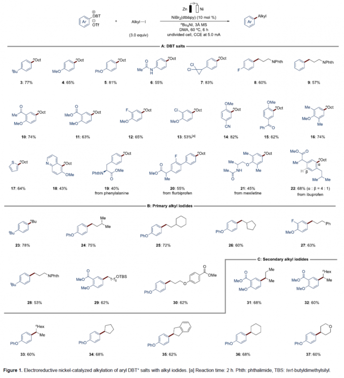 Angew：电催化形式C(sp2)–H烷基化反应方法学 | 化学空间 Chem-Station