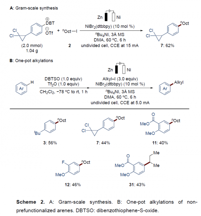 Angew：电催化形式C(sp2)–H烷基化反应方法学 | 化学空间 Chem-Station