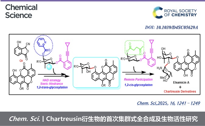 Chem. Sci.丨Chartreusin衍生物的首次集群式全合成及生物活性研究 | 化学空间 Chem-Station