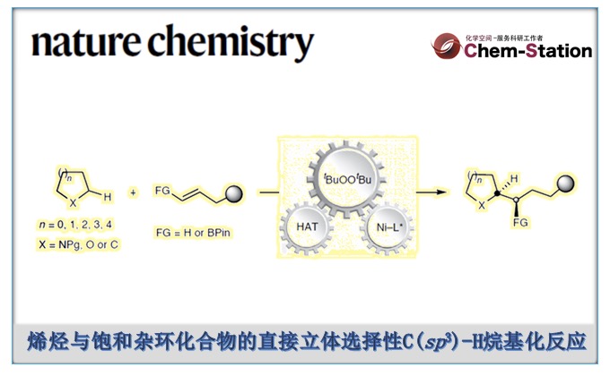 Nat. Chem.：烯烃与饱和杂环化合物的直接立体选择性C(sp3)–H烷基化反应 | 化学空间 Chem-Station