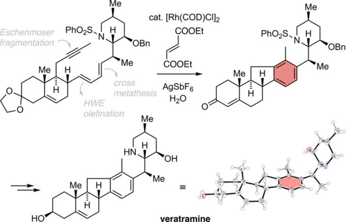 Trauner组JACS:通过 Diels−Alder 反应-芳构化简洁合成 (−)-Veratramine 和 (−)-20-iso ...