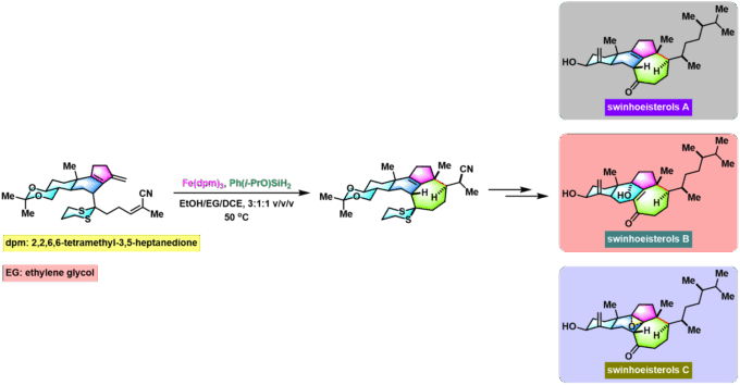 Baran reductive olefin coupling (BROC) | 化学空间 Chem-Station